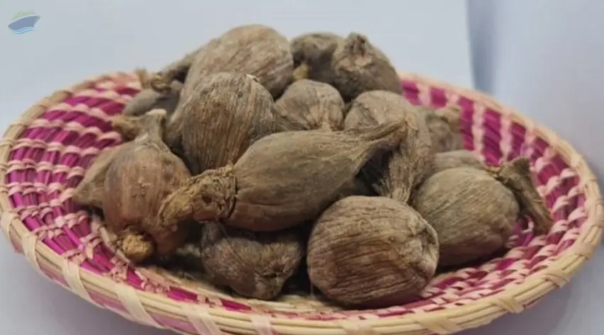 Ethiopian Black Cardamom by YSO Import & Export. Supplier from Ethiopia ...