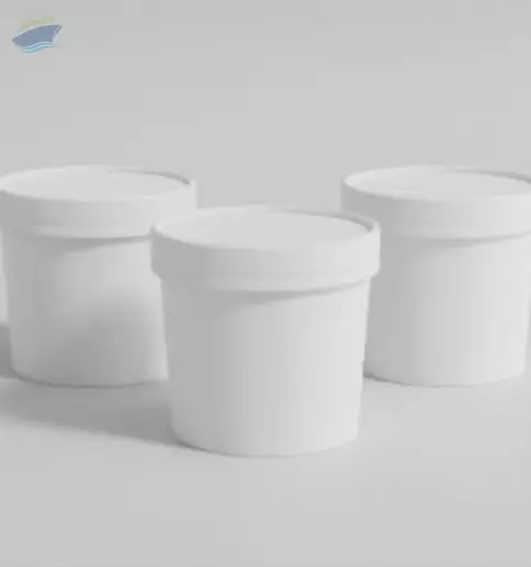 Paper Food Packaging Boxes by Hellary Import And Export Private Limited ...