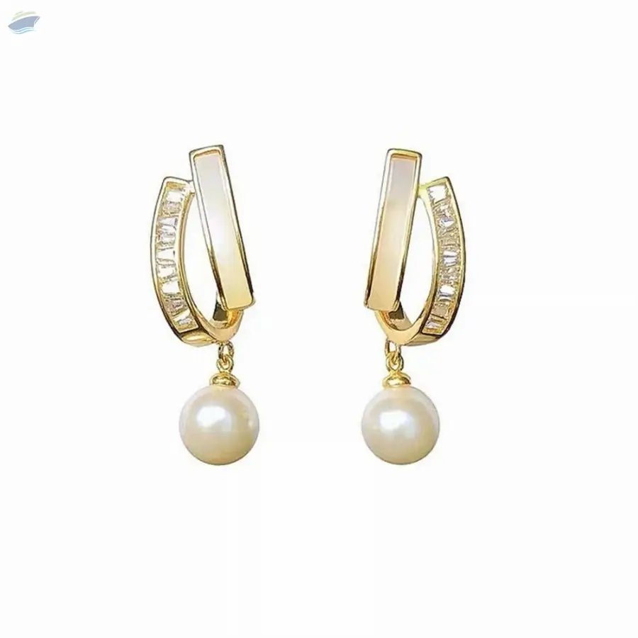 Ladies Drop Earrings by Orizin Technologies Private Limited. Supplier ...