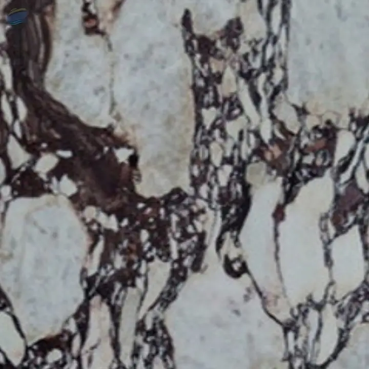 Breccia Capria Marble by Mahatma Marble And Granite Pvt. Ltd.. Supplier ...
