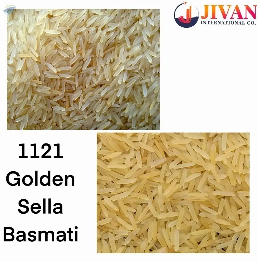 1121 Sella Golden Basmati Rice by Jivan International Co.. Supplier ...