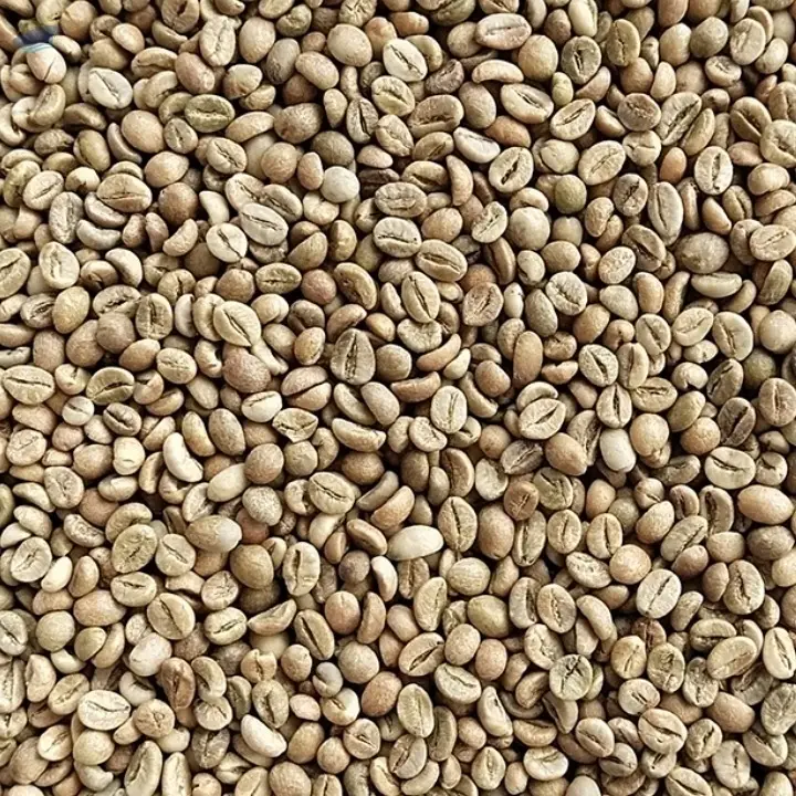 Fine Robusta Coffee by PT. Altair Ekspor Indonesia. Supplier from ...