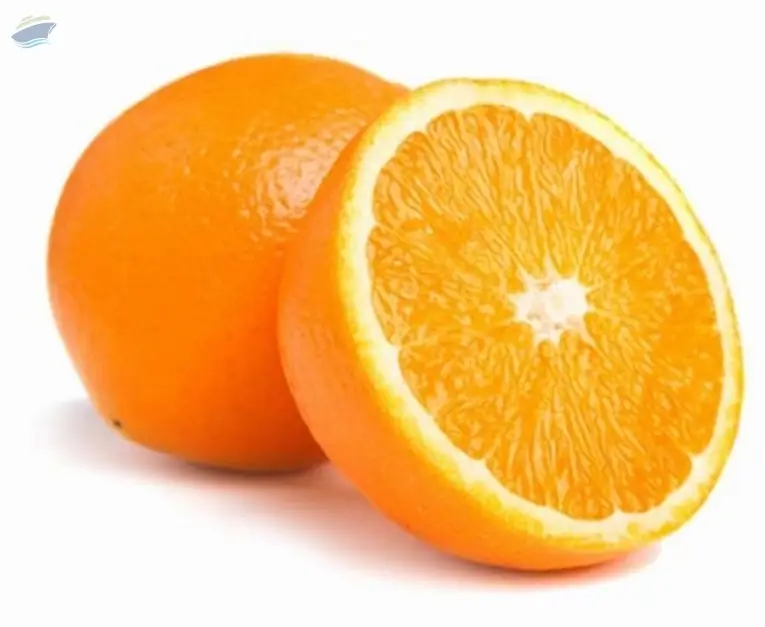 Thomson Orange by Ashoftehpour Goods Wholesaler Co.. Supplier from ...