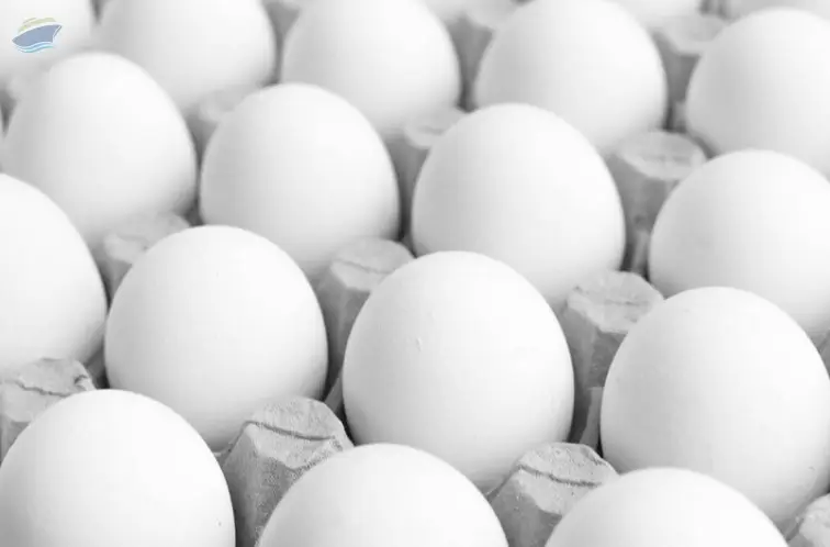 Chicken White Shell Eggs by Grace Ferro Exports Pvt Ltd. Supplier from ...