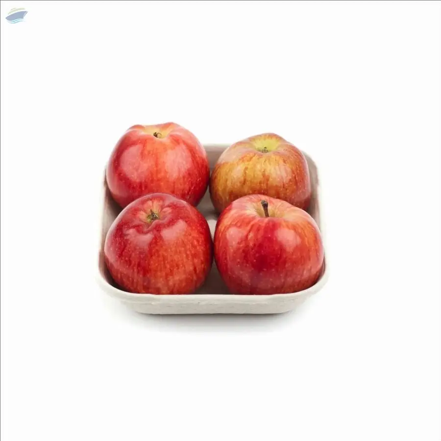 Apple Tray by Prodo Technologies Private Limited. Supplier from India ...
