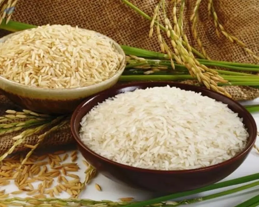 Rice by Agrahya Overseas Private Limited. Supplier from India. Product ...