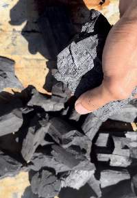 Arber Hardwood Namibian Acacia Charcoal : Manufacturers, Suppliers ...
