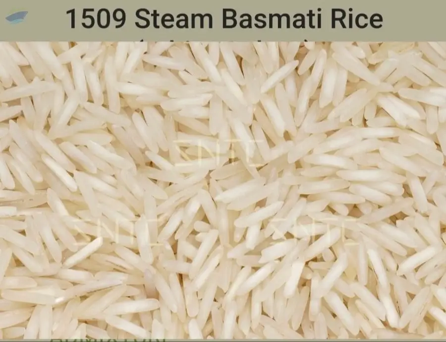 1509 Steam Rice by Mubarak Overseas Pvt. Ltd.. Supplier from India ...