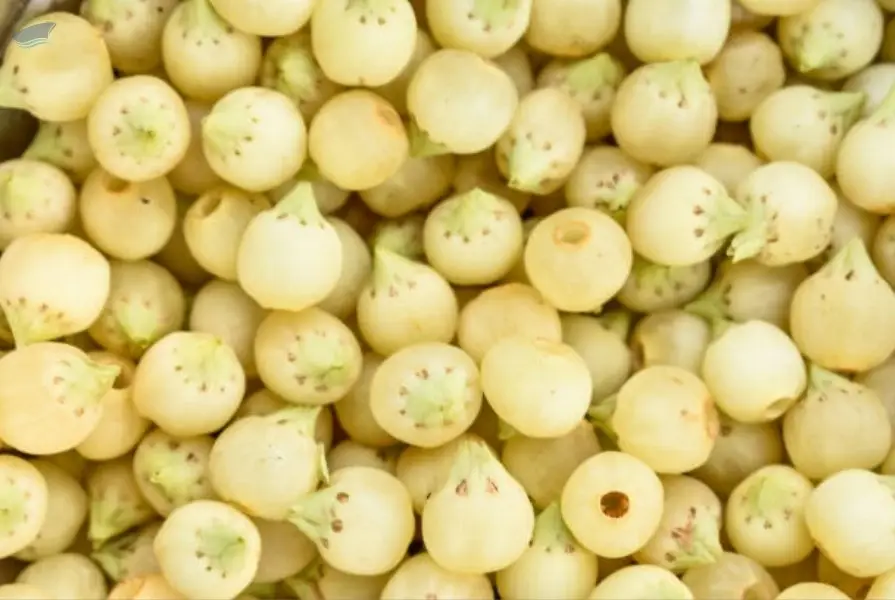 Mahua Flower by Narayani Rice Mill. Supplier from India. Product Id ...