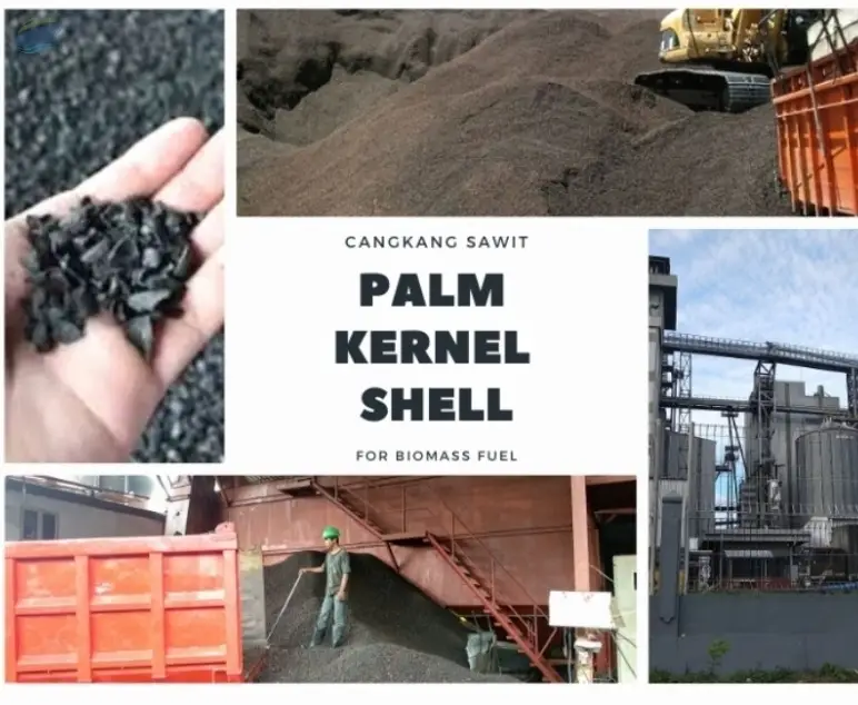 Palm Kernel Shell by PT. Coco Inayo Abadi. Supplier from Indonesia ...