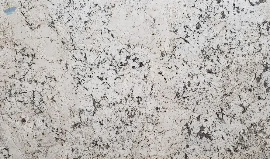 Champagne White Granite by Universal Granimarmo Pvt Ltd. Supplier from ...