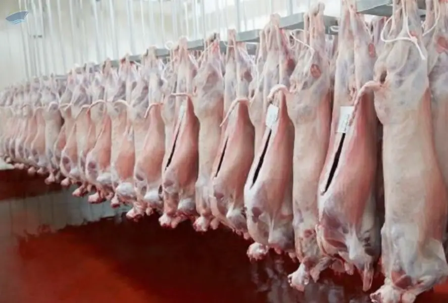 Sheep Meat by AM Global Supply. Supplier from United States. Product Id ...