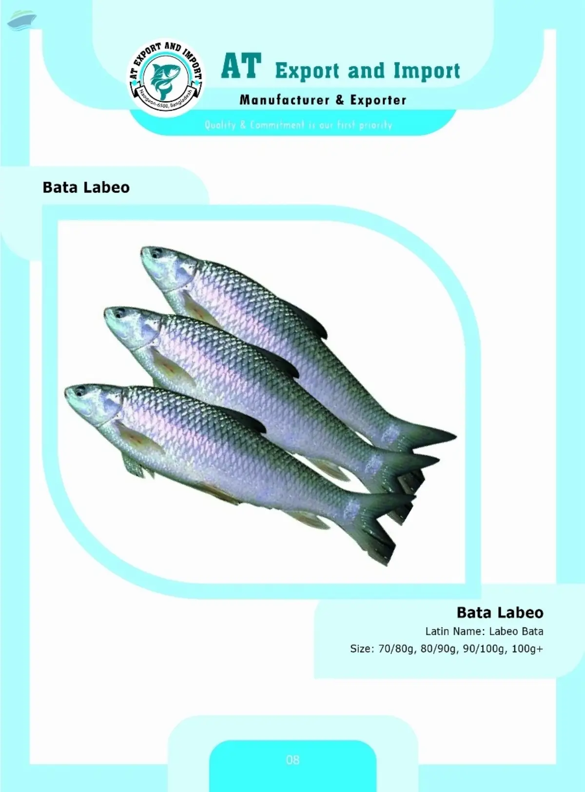 Bata Labeo Fish by AT Export And Import. Supplier from Bangladesh ...