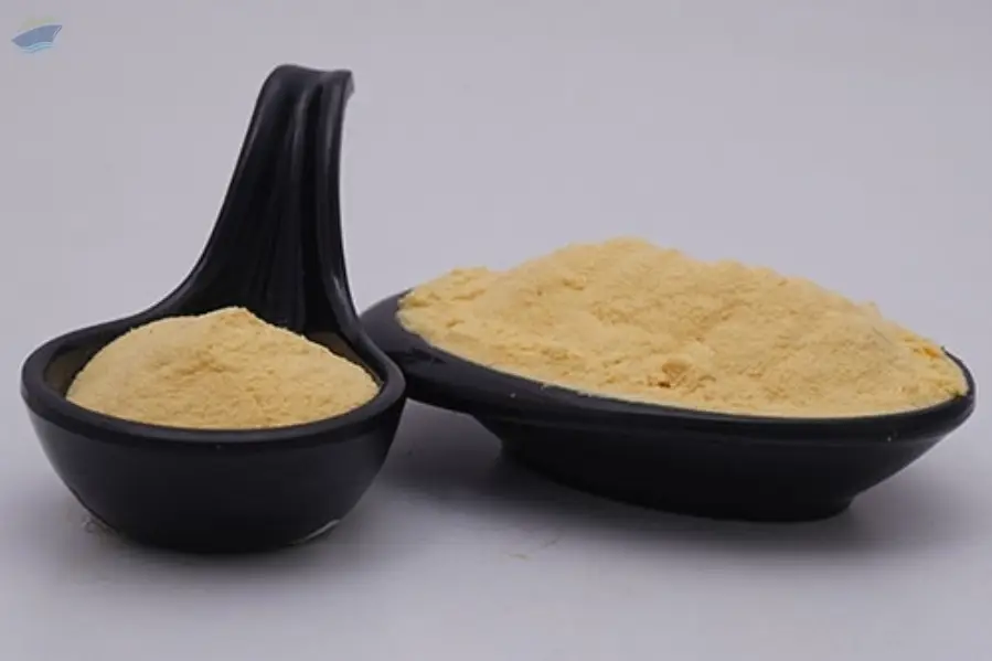 Carrot Spray Dried Powder by M/s. Al Ali Export Import. Supplier from ...