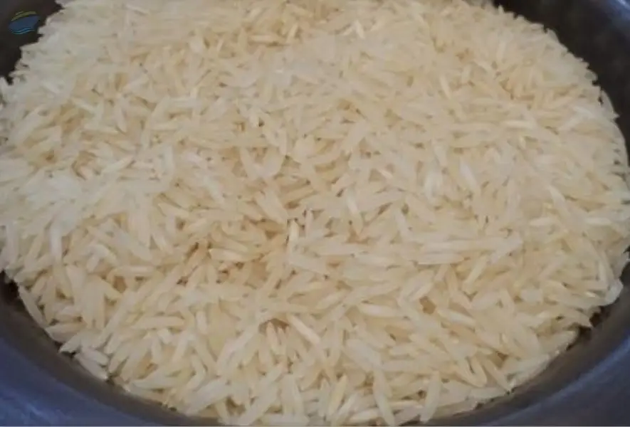Pr 11 Golden Sella Rice by Indian Cereals, Herbs & Spices Exports ...