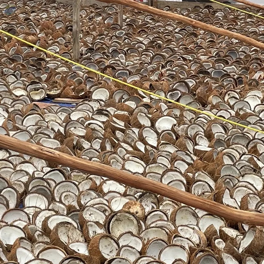 Copra by PT. Delapan Unsur Inti Tama. Supplier from Indonesia. Product ...