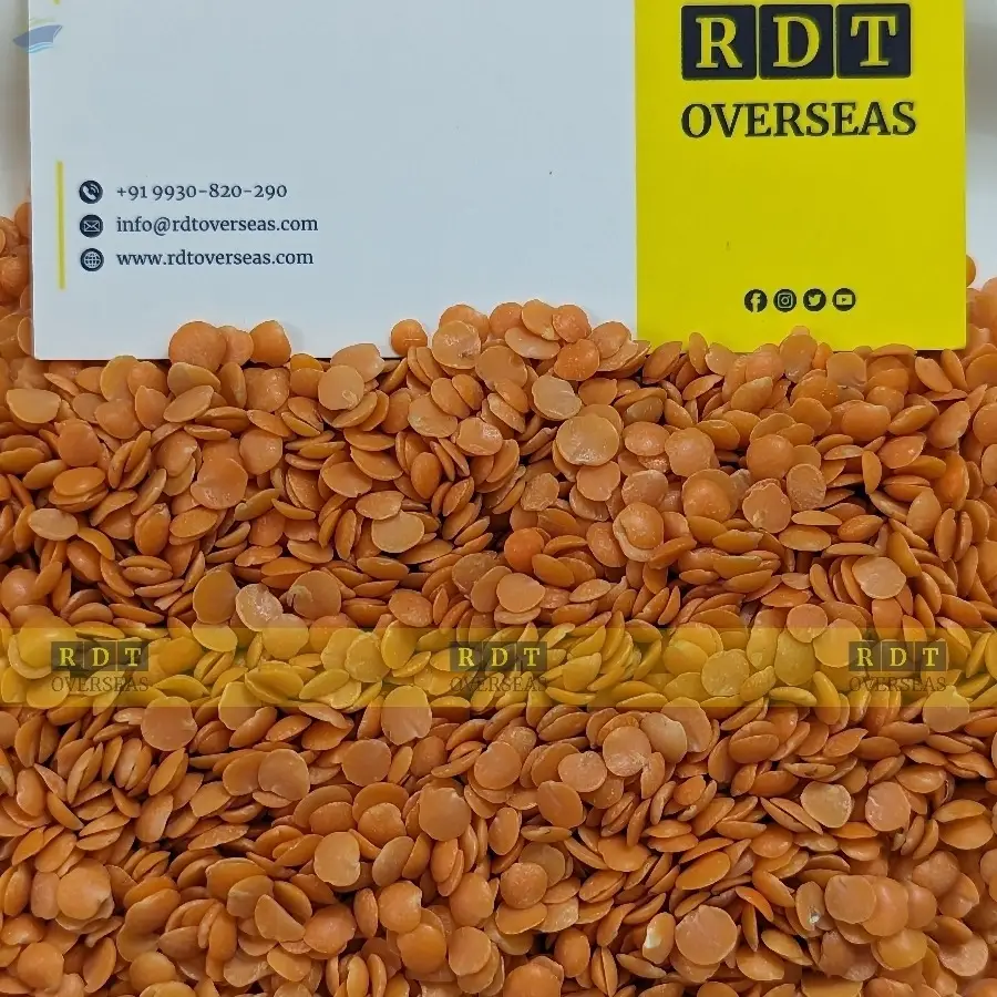 Red Lentil Split / Masoor Dal / Mosur Dal by RDT Overseas. Supplier ...