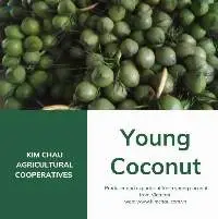 Diamond Siamese Coconut : Manufacturers, Suppliers, Wholesalers and ...