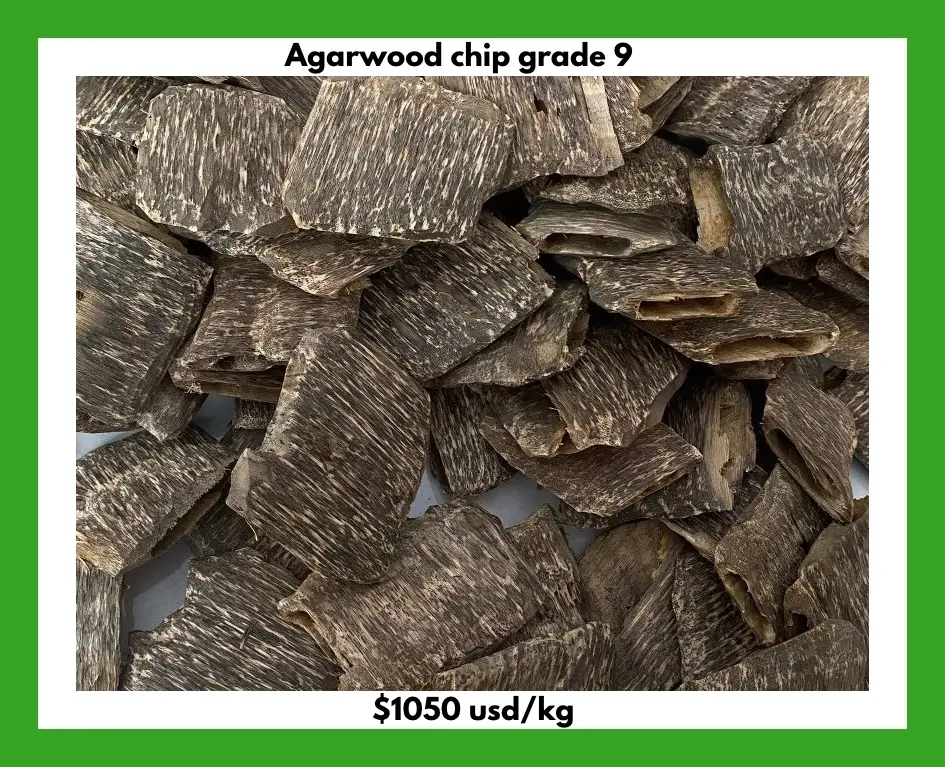 Agarwood Chip Grade 9 by TTT Biological Agarwood Jsc. Supplier from ...