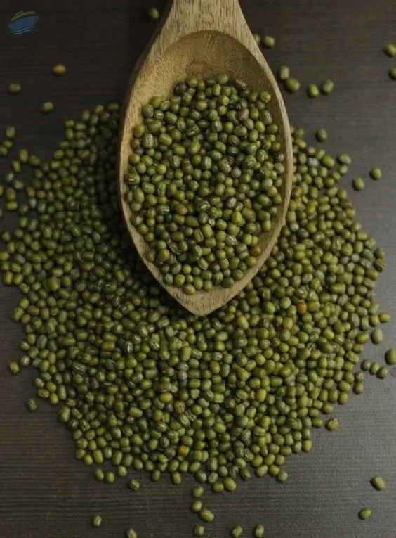 Major Millets by Siva Trading Company. Supplier from India. Product Id ...