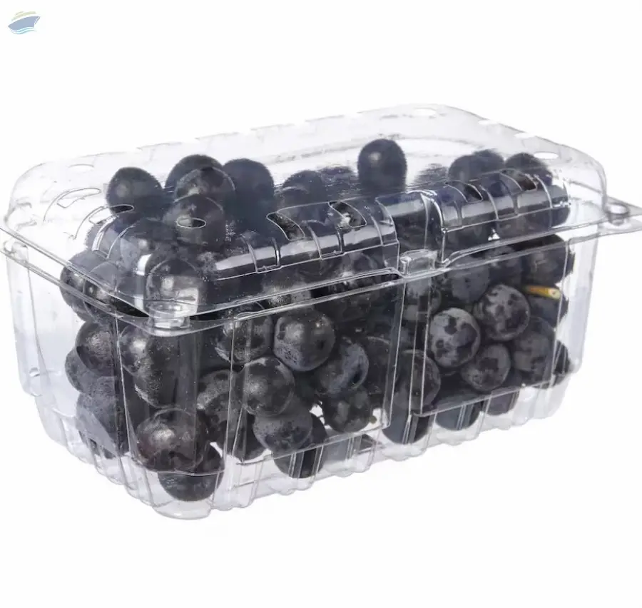 Black Grapes Per Punnet by Amaggi. Supplier from South Africa. Product ...