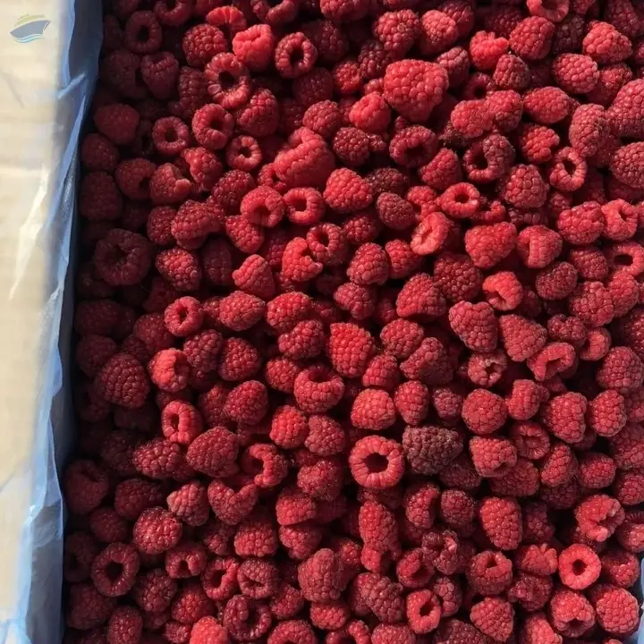Iqf Raspberry 90/10 by USPA Global. Supplier from Ukraine. Product Id ...