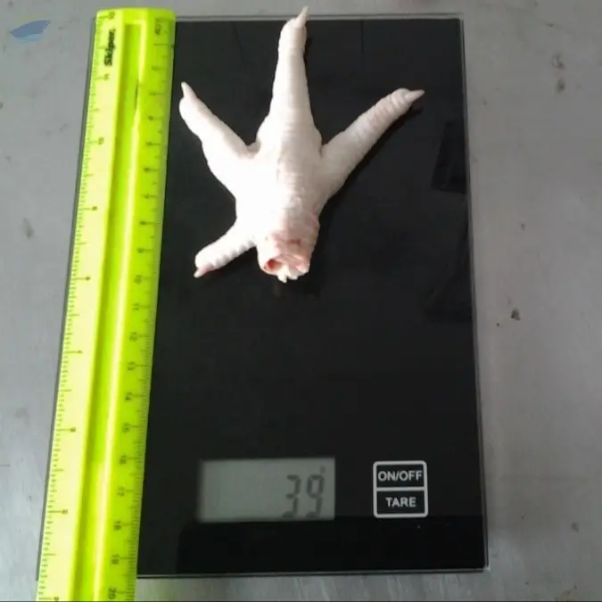 Buy Quality Brazil Frozen Chicken Paws by Mint Wheat Corp. Supplier ...