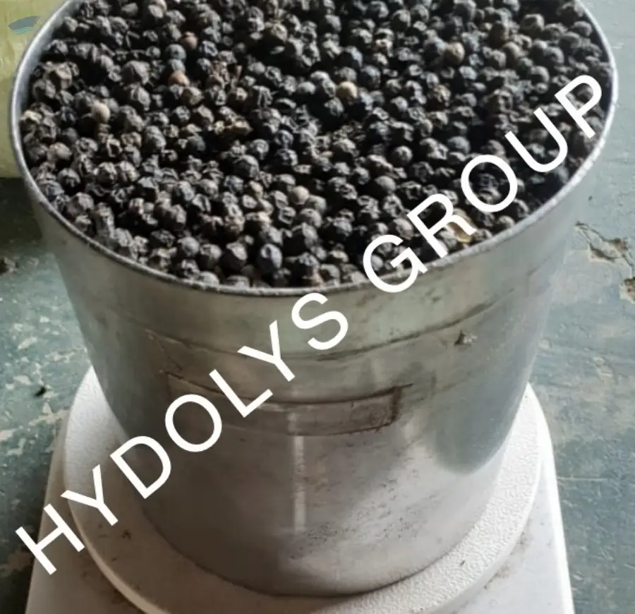 Black Pepper Type Gl 550 by Hydolys Group Limited. Supplier from Hong ...