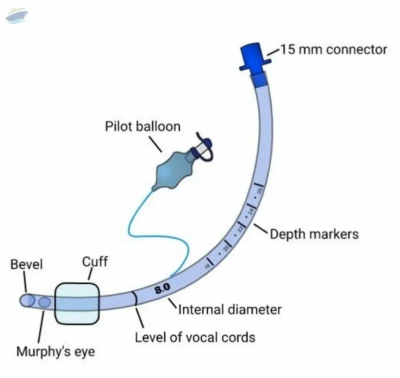 Endotracheal Tube Oral Preformed With Cuff by Tradway International ...
