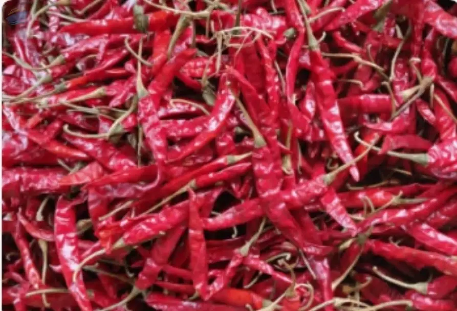Teja Red Chilli by Fusionflavo Import Export. Supplier from India ...