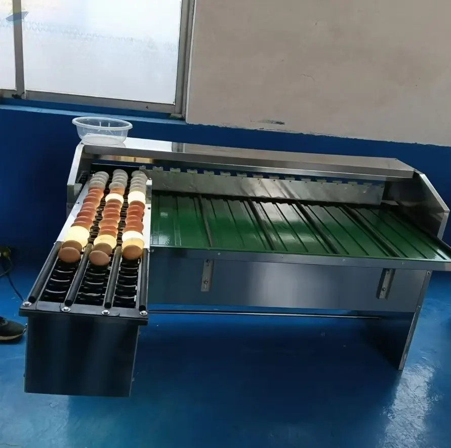 Egg Inspection - Grading Machine by Shanghai OW Technology Co., Ltd ...